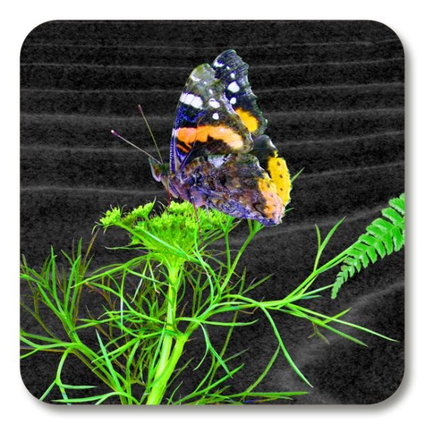 Shop trays, platters, placemats & coasters designed by Michael Angove ...